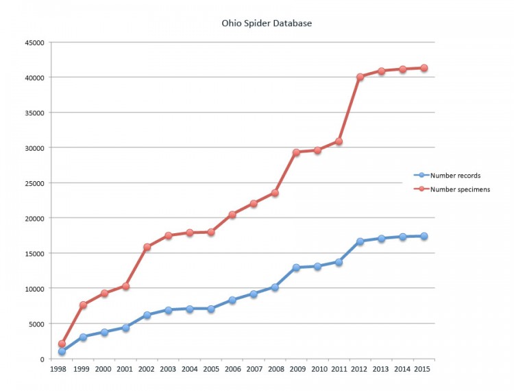 history of the survey | spidersrule